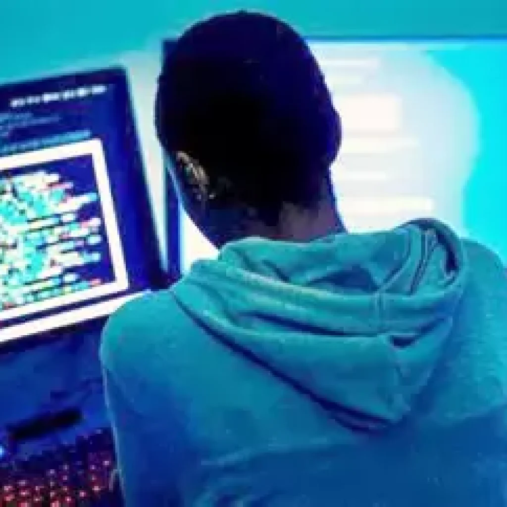 Cybercriminalité en Afrique: Les résultats satisfaisants d’Interpol – VoixVoie de Femme